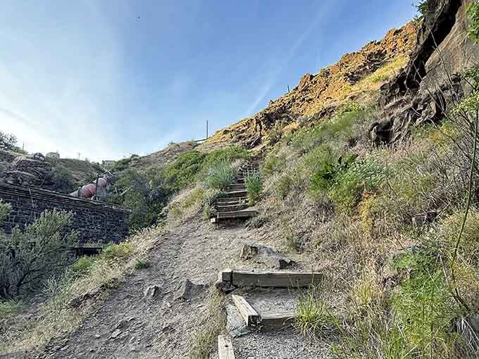 Wooden steps lead adventurous souls down into the canyon for perspectives that reward a little effort.