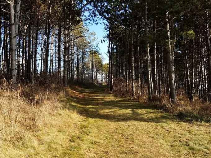 These woodland trails offer the kind of peace and quiet your therapist keeps telling you to find.