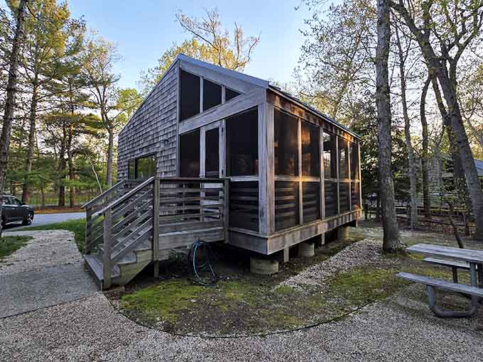These cozy cabins offer the camping experience with actual walls, appealing to outdoors enthusiasts who also appreciate indoor plumbing.