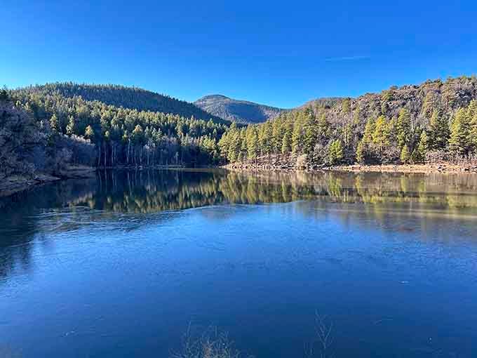 Buckskinner Park's frozen lake reflects the pines like nature's own mirror, peaceful enough to make you forget your phone exists.