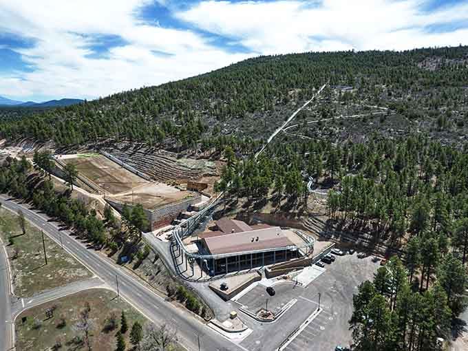 Canyon Coaster Adventure Park sits nestled in the pines, ready to add some adrenaline to your mountain town experience.