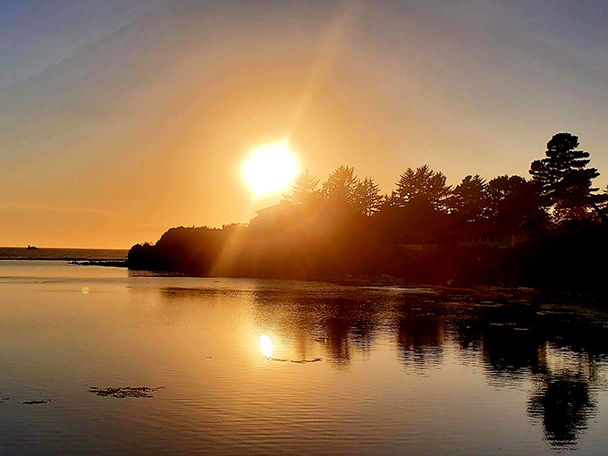 Sunset transforms the river into liquid gold, making early risers question their life choices completely.