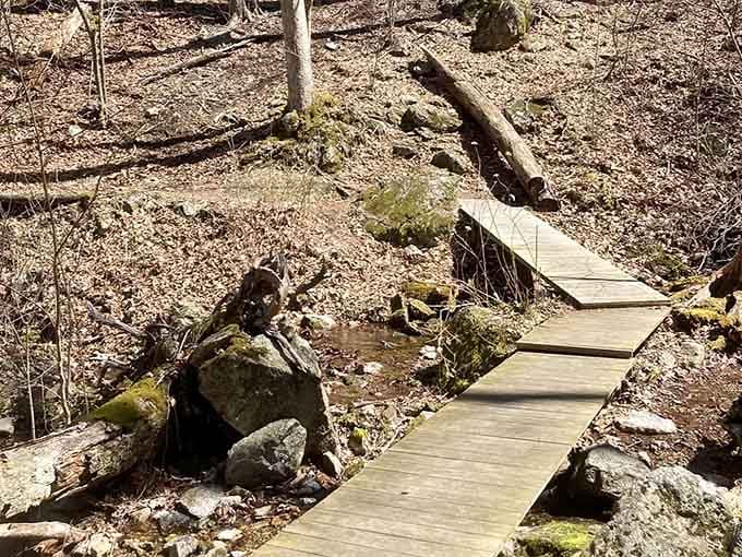 The wooden boardwalk keeps your feet dry while history whispers stories from beneath your steps.