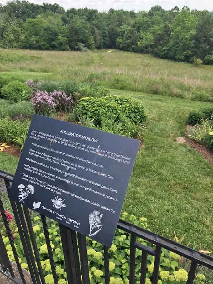 The Pollinator Meadow isn't just pretty, it's basically a five-star restaurant for bees and butterflies.