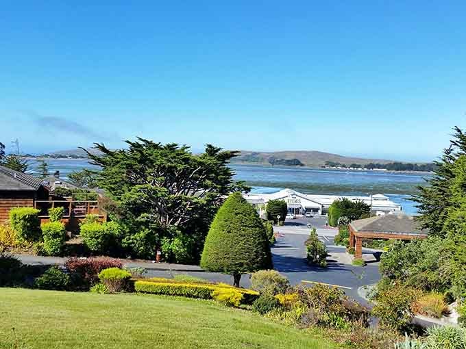 Perfectly trimmed hedges stand guard over this serene bay view, proving nature and nurture make excellent neighbors.