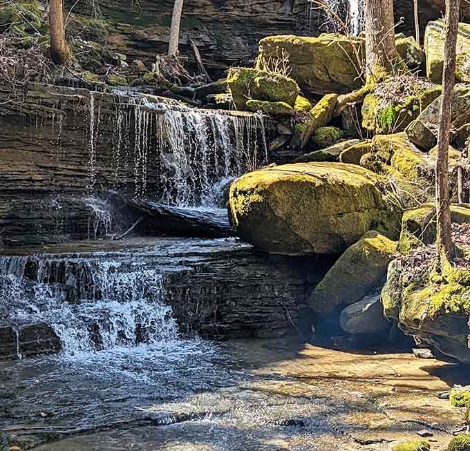 Moss-draped boulders frame cascading water in a scene that belongs on a nature documentary about hidden wonders.