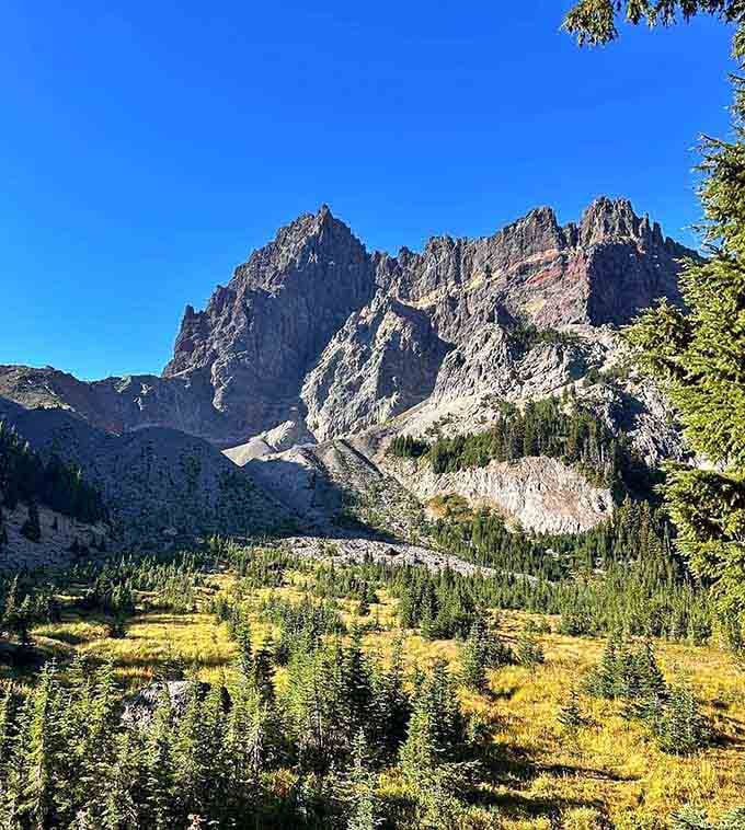 Three Fingered Jack's jagged spires tower over golden meadows, creating a contrast so perfect it almost seems staged for photographers.