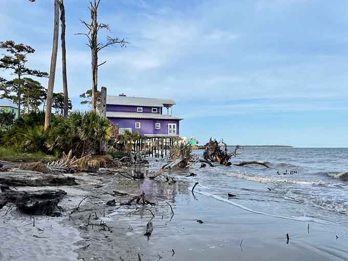 That purple beach house isn't giving up without a fight, standing proud among the driftwood like a coastal warrior.