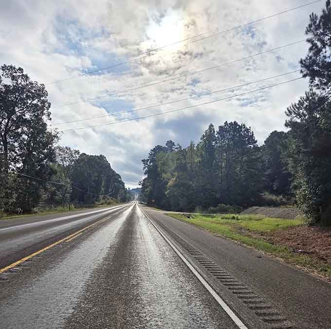 Rain-slicked pavement reflects cloudy skies while towering pines create a green cathedral along this peaceful East Texas corridor.