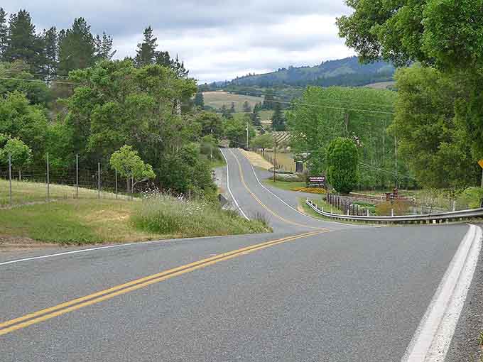 The gentle curves through these rolling hills make you want to slow down and savor every single mile.