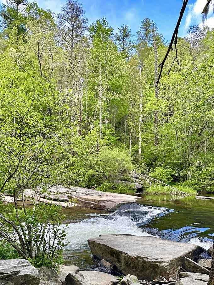 Flat rock ledges provide natural diving platforms where generations of families have made their best summer memories.