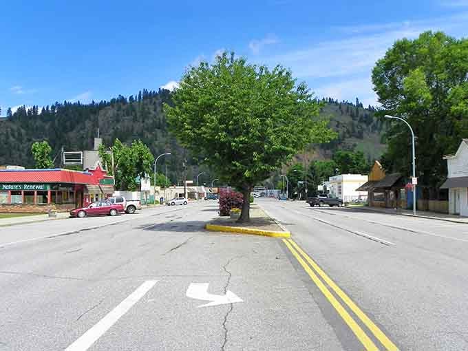 That magnificent tree anchors main street like a natural monument, providing shade and beauty through countless seasons of community life.
