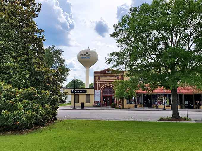 Water tower rising above the trees like a friendly beacon welcoming you to slower living and lower costs.