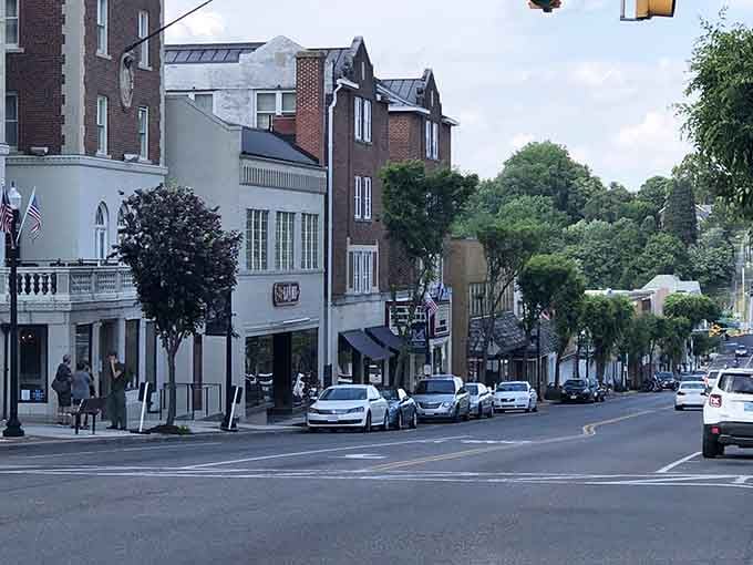Mature trees shade these streets where architectural variety creates visual interest without trying too hard to impress anyone.
