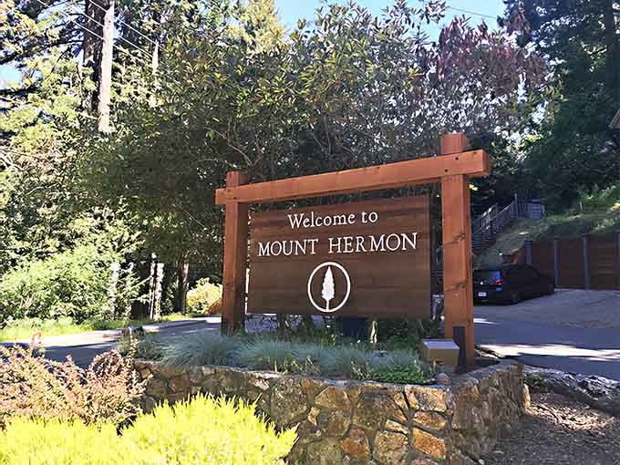 The welcome sign stands proud among the pines, marking the entrance to a community wrapped in redwood serenity.