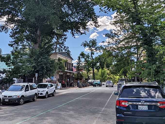 Tree-lined streets lead past historic buildings where the canopy provides natural air conditioning for summer afternoon wandering.