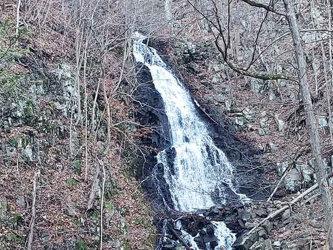 Streams of water drop gracefully from an overhanging ledge, framed by bare trees in winter's quiet beauty.