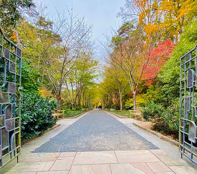 The garden gates open onto a tree-lined path where autumn's first blush adds crimson accents to the green canopy.