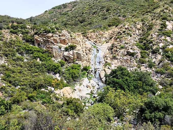From above, this rocky gorge reveals nature's patient artistry carved over thousands of years through solid stone.