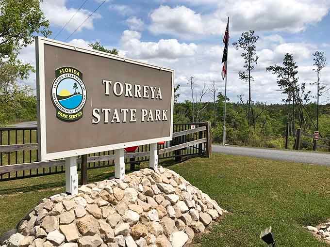 Welcome to hills and history where Florida suddenly remembers it can do elevation after all.