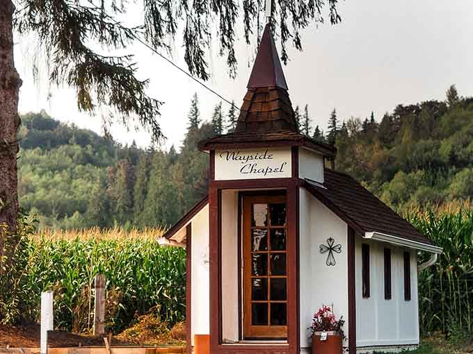 Fresh flowers at the entrance add a tender touch to this miniature sanctuary surrounded by cornfields and forest.