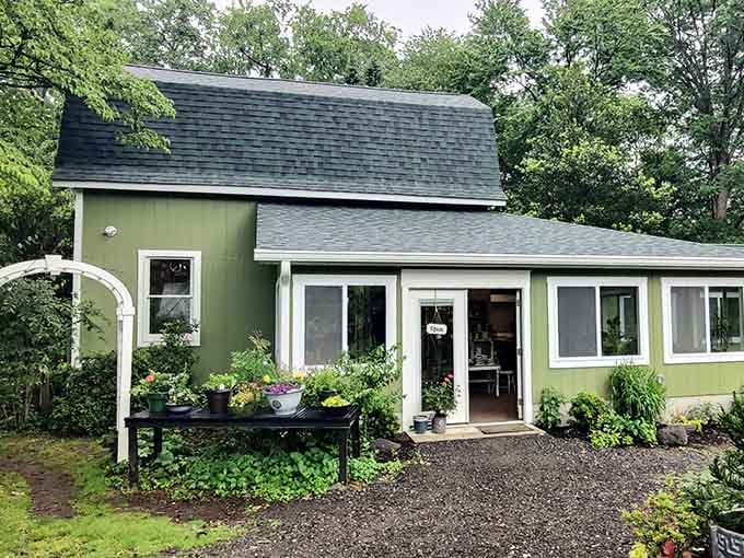 A sage-green cottage nestled among trees offers a cozy retreat where plants and peaceful vibes go hand in hand.