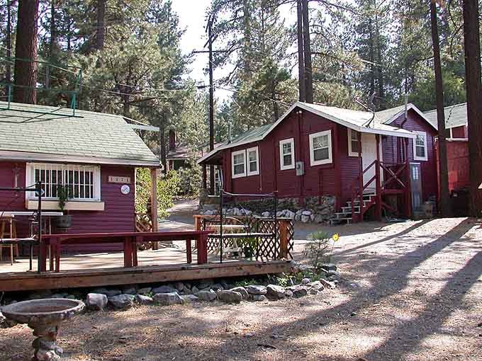 Cozy mountain cabins nestle among towering pines where the scent of woodsmoke mingles with crisp alpine air.
