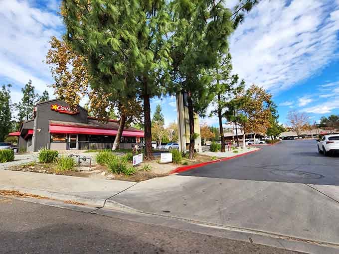 Towering trees shade a peaceful parking lot where time slows down and stress melts away.
