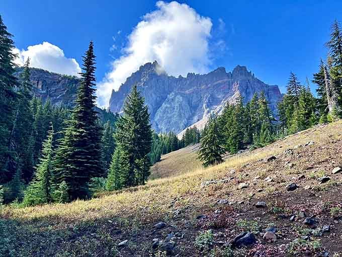 The rugged mountain peak rises dramatically above wildflower-filled valleys, reminding you why people write songs about places like this.
