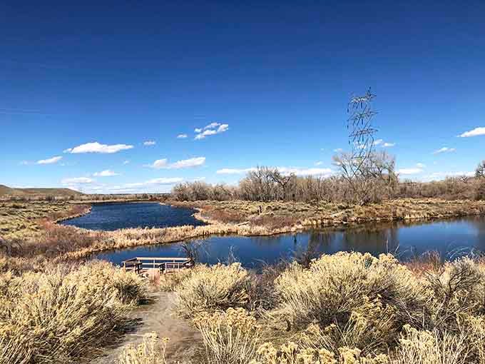 Peaceful ponds connected by trails offer the perfect escape when city life gets louder than your patience allows.