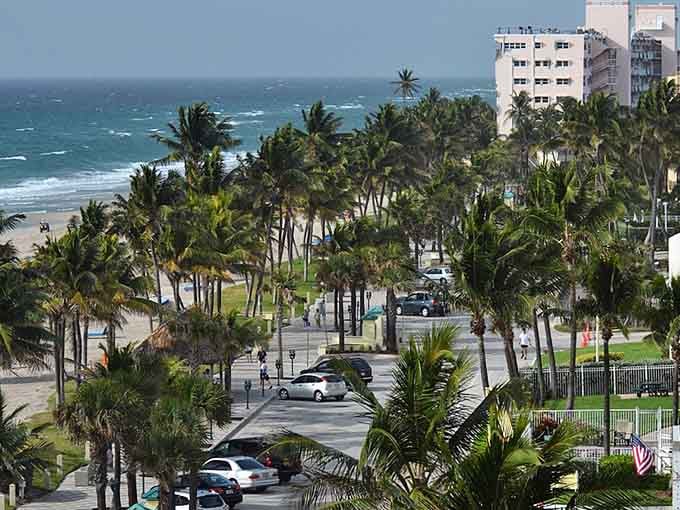Palm trees frame the ocean view like a postcard you'd actually want to receive in the mail every single day.
