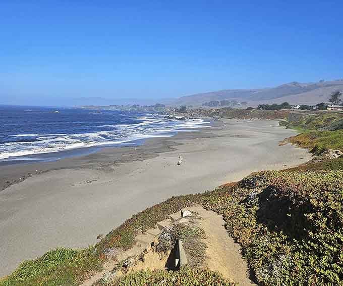 Wildflowers frame the coastline in brilliant colors, proving Mother Nature has excellent taste in landscaping.