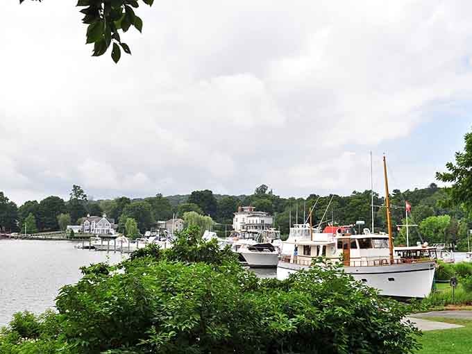 Classic yachts rest peacefully at the dock while green trees provide a lush natural backdrop.