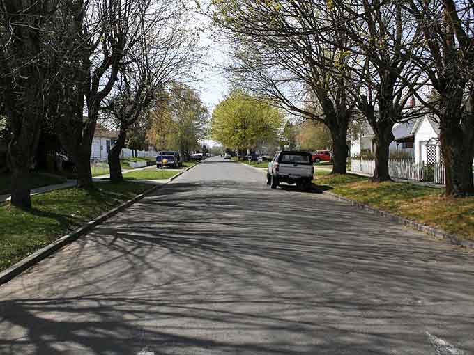 Tree-lined residential streets offer the kind of peaceful shade that makes you want to take a long, slow stroll.