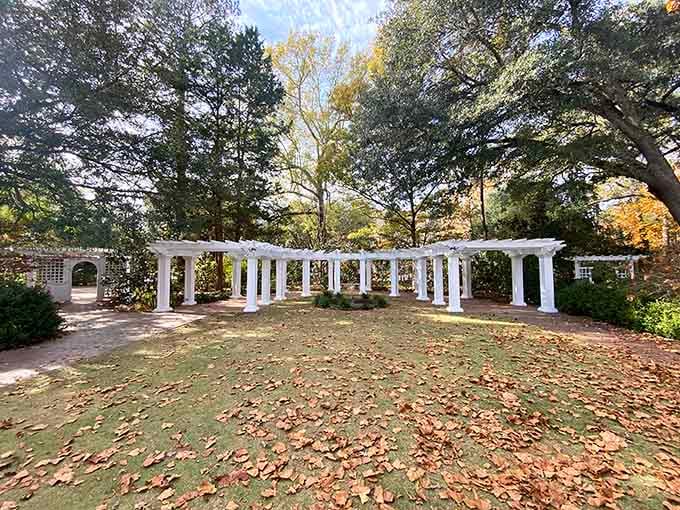 White columns stand in autumn splendor, looking like they're hosting a formal garden party for the falling leaves.