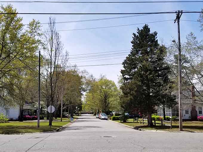 Spring greenery blankets quiet residential lanes, proving small-town living doesn't mean sacrificing beauty or tranquility.