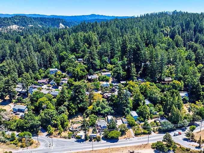From above, the forest swallows this tiny town whole, leaving just enough room for neighbors to gather together.