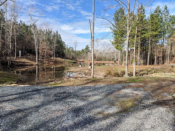 Peaceful pond reflections and bare winter trees create stark beauty in the quiet countryside along this rural route.