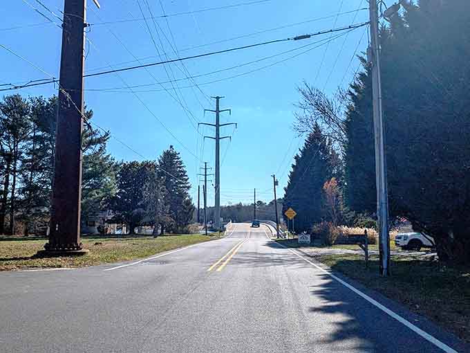 Pine trees line the empty road leading to places where solitude isn't lonely, just peaceful and restorative.