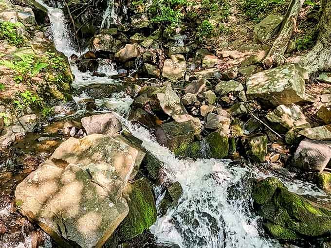 Sunlight dances on tumbling water as it bounces between moss-covered boulders in this rocky streambed.