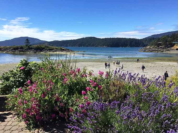 Wildflowers frame this island beach where locals and visitors gather to celebrate summer's gentle arrival.