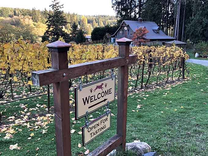 The welcome sign says it all&mdash;this charming island winery invites you in for tastings among the towering evergreens.