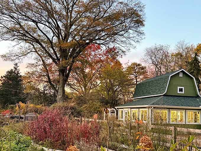 Golden hour light bathes the barn in warm tones while autumn colors paint the surrounding landscape in nature's palette.
