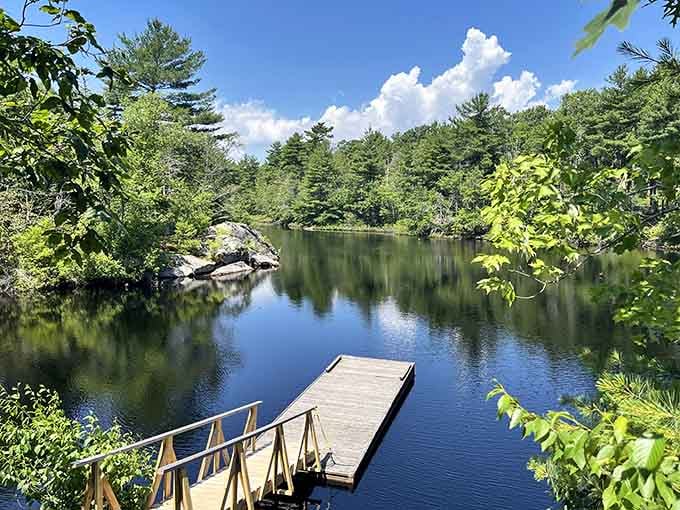 A floating dock extends into mirror-smooth water where dragonflies dance and fish occasionally break the glassy surface.