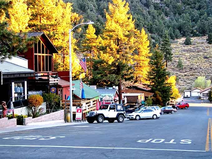 Golden autumn foliage transforms this mountain street into a postcard-perfect scene that makes you want to linger.