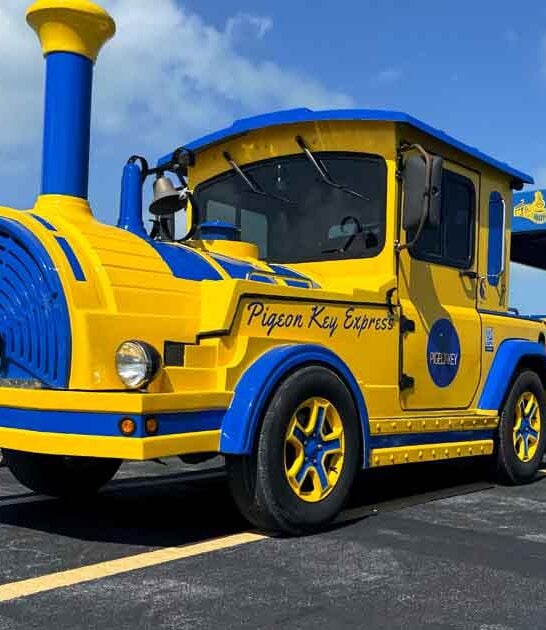 aboard train ride florida ftr