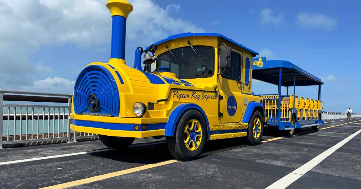 Hop Aboard This Open-Air Train Ride In Florida For A Day Your Family ...