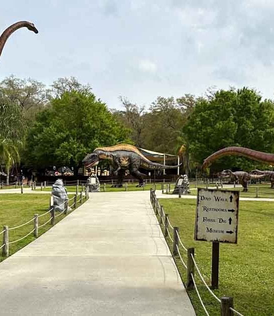 Take A Road Trip To These 9 Affordable Florida Destinations That Are Easy On The Wallet