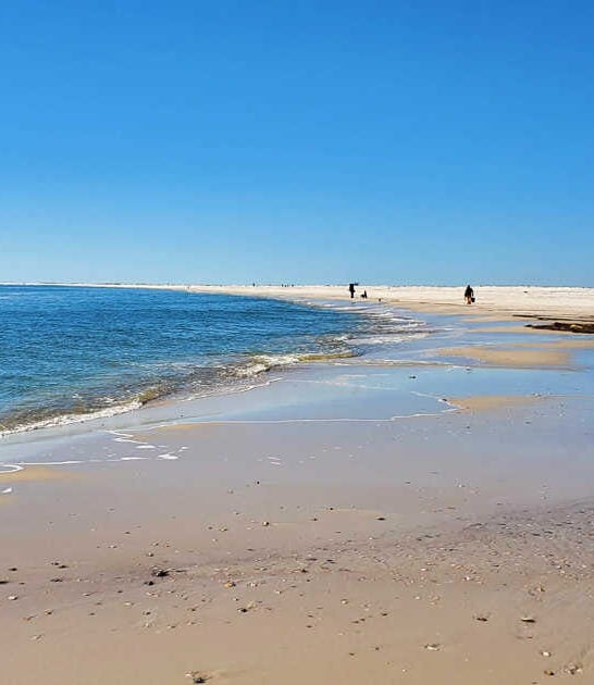 alabama breathtaking beach escape ftr