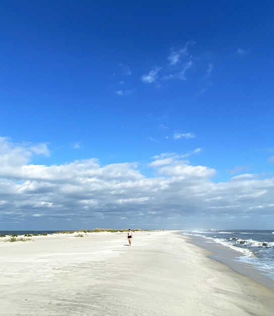 alabama gorgeous beach escape ftr